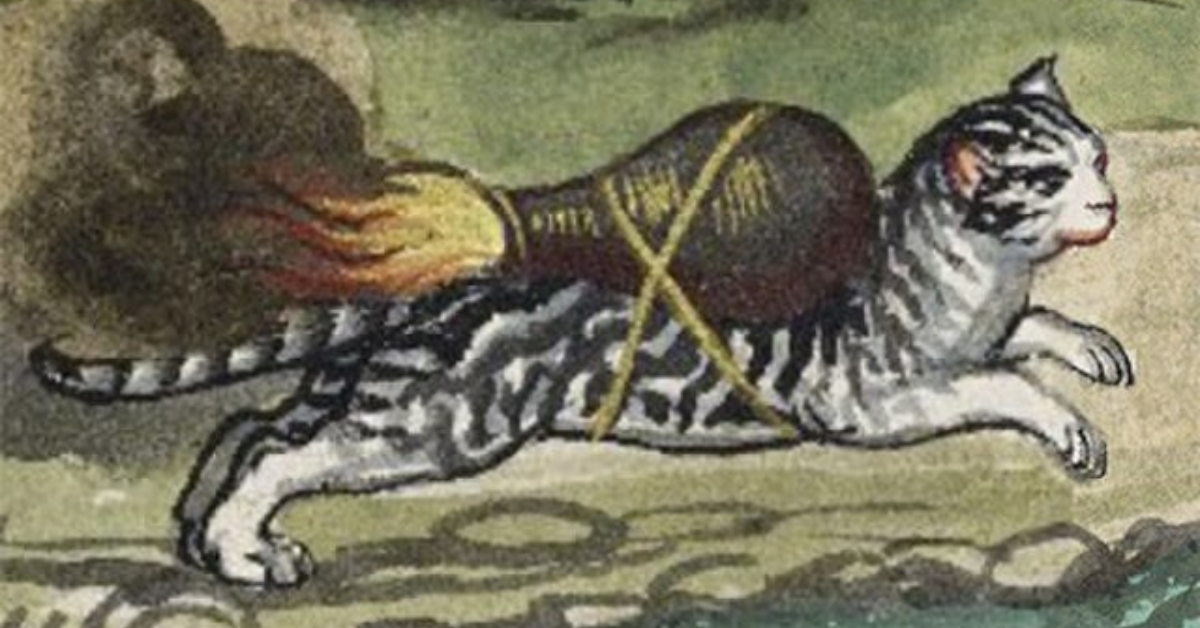16th-Century Rocket Cats: Brilliant Warfare Tactic or Terrible Idea ...