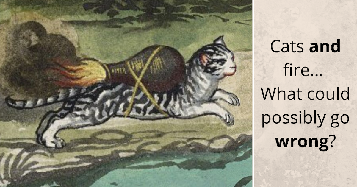 16th Century Rocket Cats: Brilliant Warfare Tactic Or Terrible Idea ...