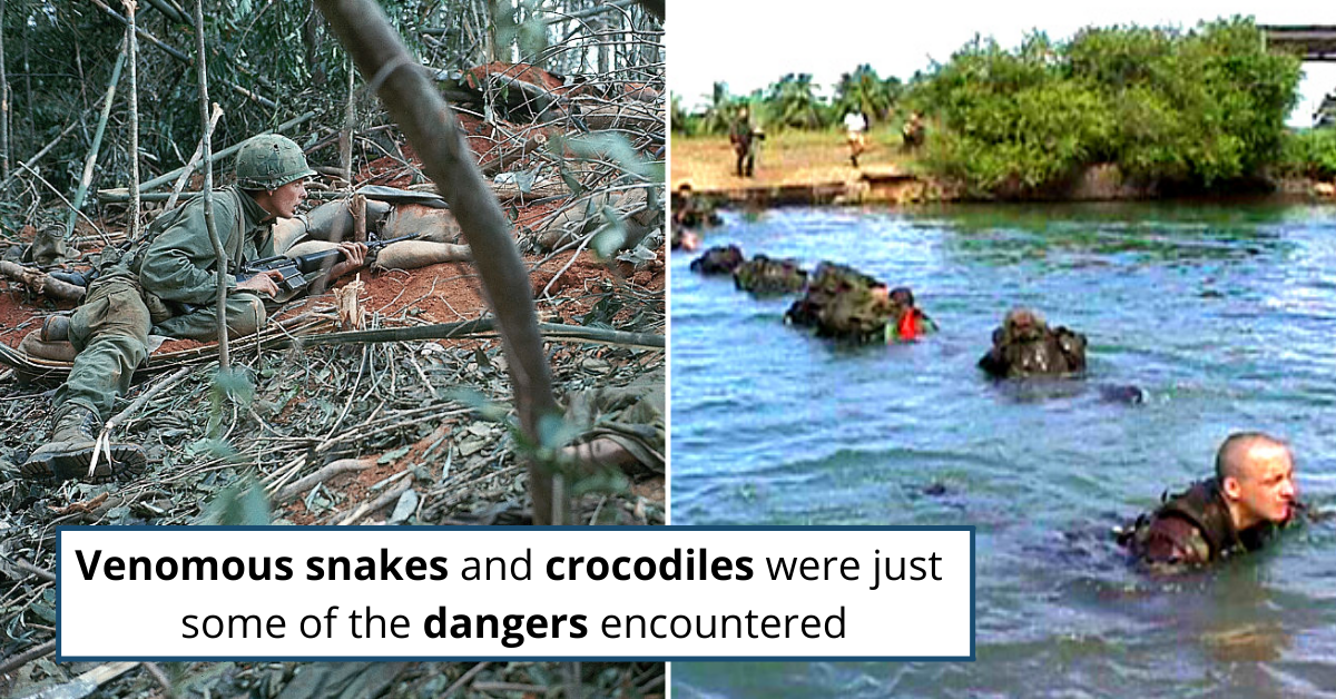 A Green Hell: Fort Sherman's Jungle School Army | War History Online