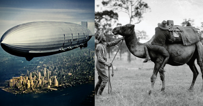 6 Unusual U.S. Military Experiments That Prove Nothing Is Too Far ...