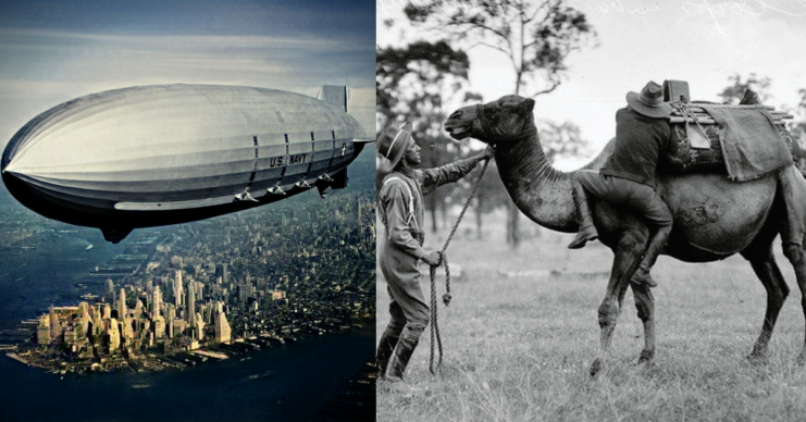 6 Unusual U.S. Military Experiments That Prove Nothing Is Too Far ...