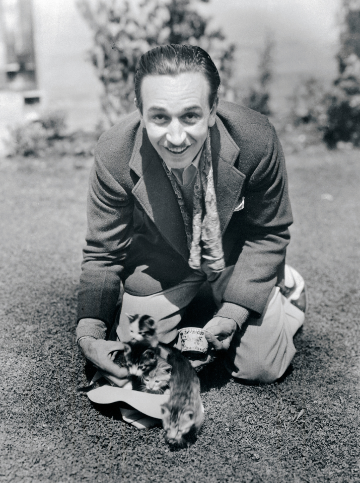 This Military General Has A Magical Connection To Disney World | War ...