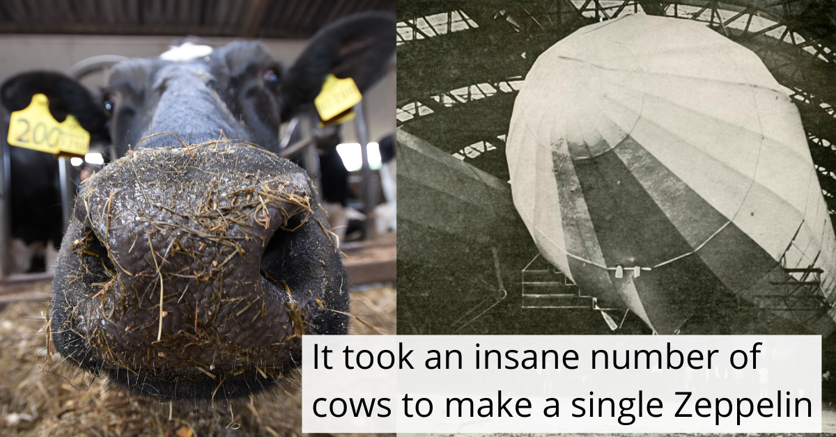 German Zeppelins Were Made with Cow Intestines And It Led To Sausage ...