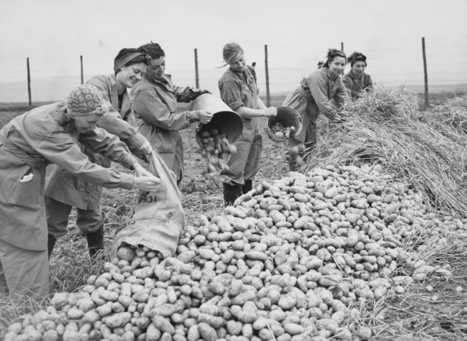 Fish and Chips Boosted the British Public's Morale During World War II ...