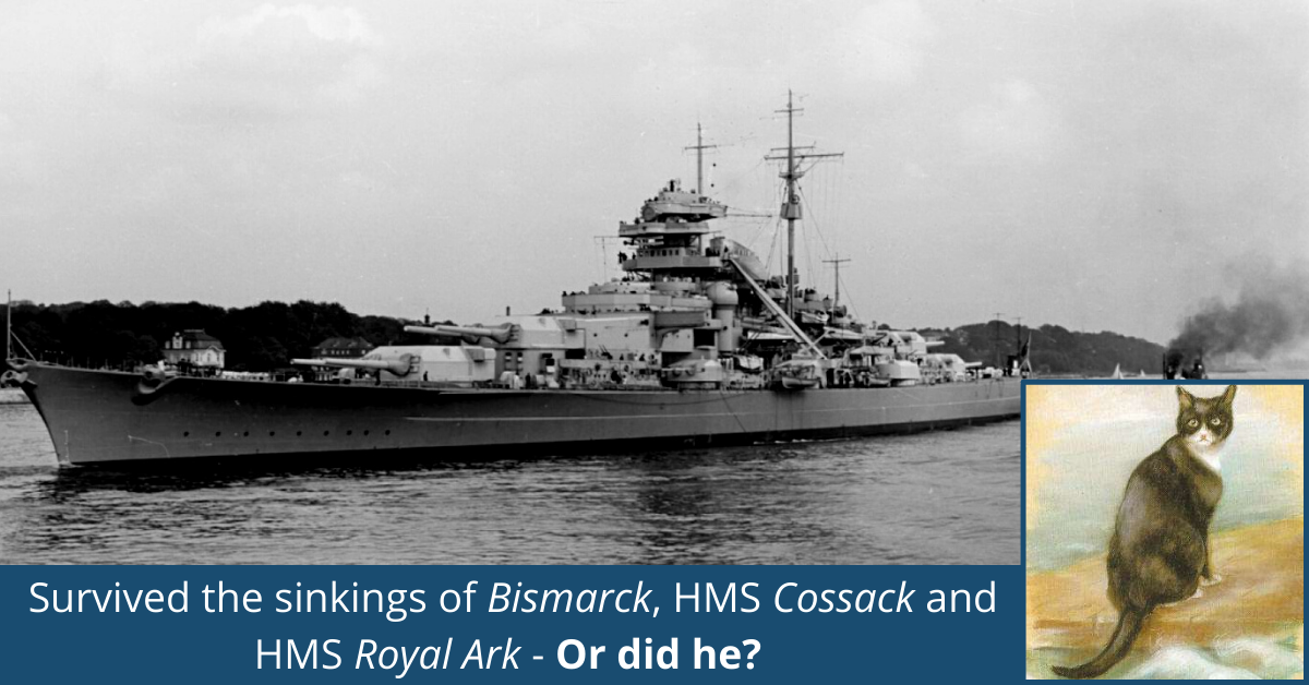 The Legend of Unsinkable Sam: Did This Death-Defying Cat Really Exist ...