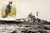 The Legend of Unsinkable Sam: Did This Death-Defying Cat Really Exist ...