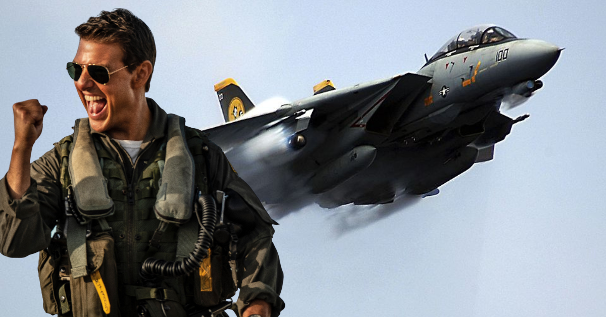 Grumman F-14 Tomcat: The Versatile Fighter Made For Top Gun Pilots ...