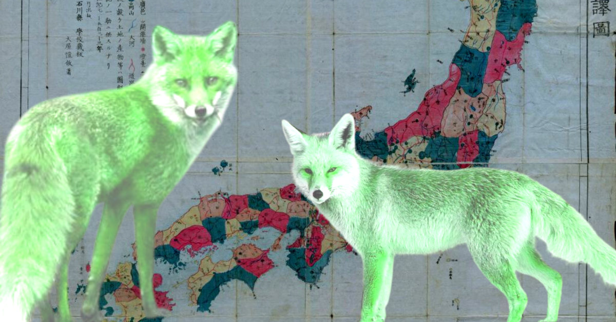 Project Fantasia: When America Planned to Use Glow-In-the-Dark Foxes ...