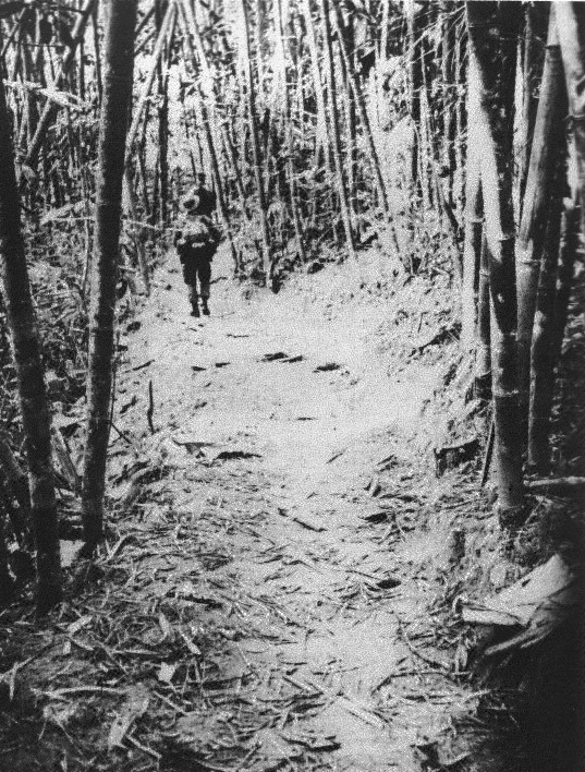 MACV-SOG: The Vietnam-Era Special Operators You've Probably Never Heard ...