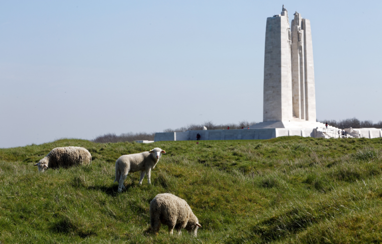 Zone Rouge: The WWI-Era Battlefields That Are Still Dangerous Over 100 ...