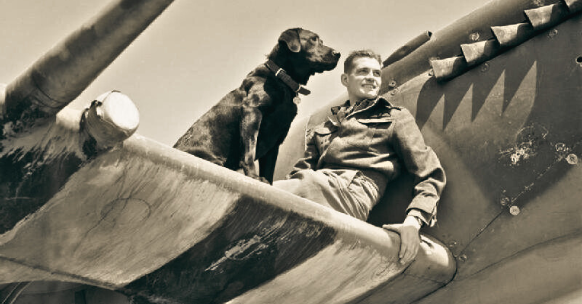 Johnnie Johnson: The Highest-Scoring Western Allied Air Ace of World ...