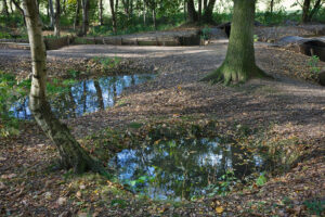 24 Photos That Show the Remnants of World War I-Era Trenches Across ...