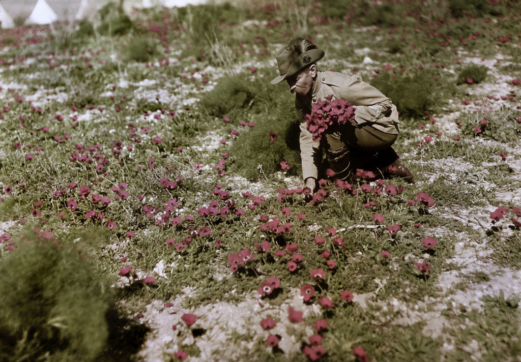 24 Rare Photos That Give Us Another View of World War I | War History ...